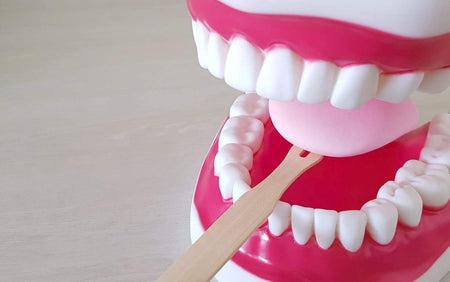 Myobrace® – revolutionizing orthodontic care through habit correction ...